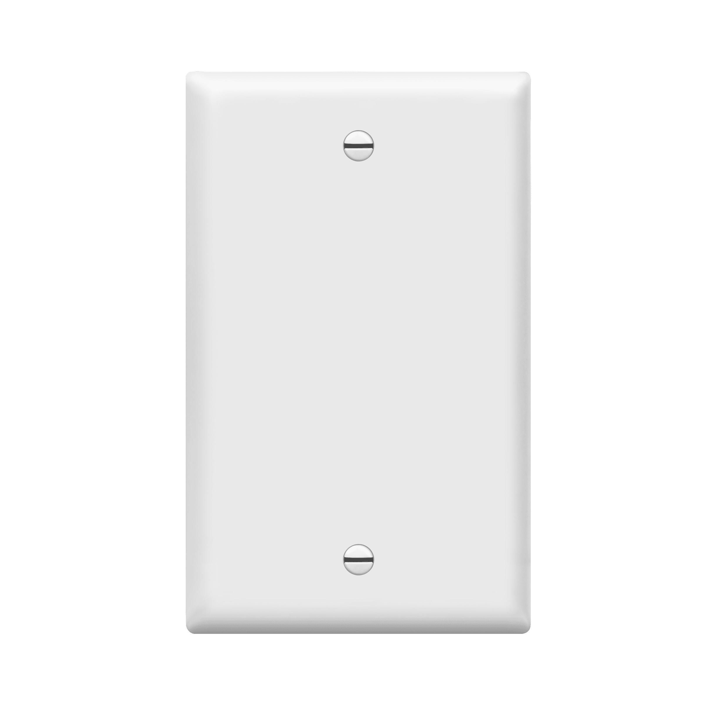 1-Gang Blank Wall Plate - Wiring Devices, Lighting Controls, Smart Home ...